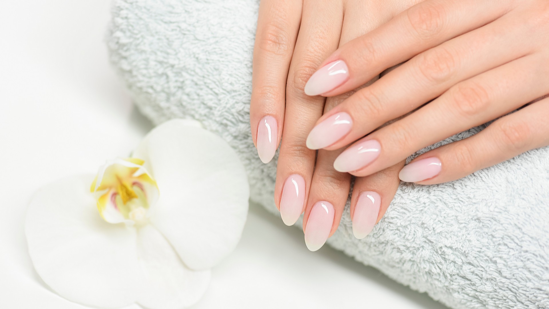 A Plus Nails Edmonton - Nail Salon in Edmonton, AB T5Y 0S5